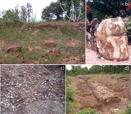 Trace elements and mineral chemistry of silicified wood from Thailand ...